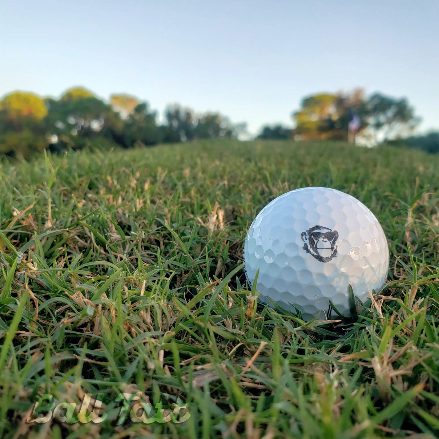 Ball Tatt Chimpanzee Golf Ball Stamp, Self-Inking, Quick-Dry Marker ...