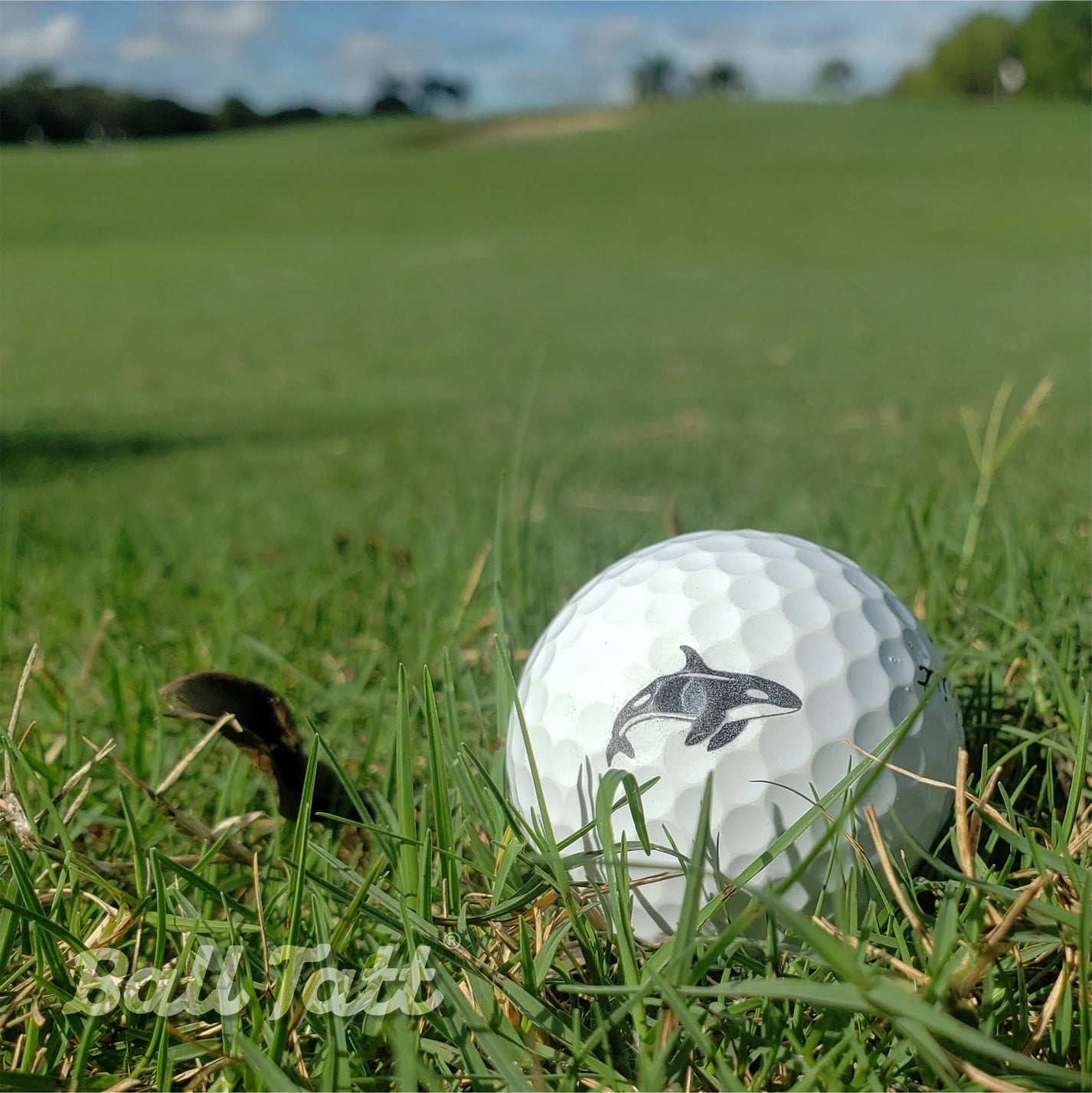 Ball Tatt - Orca Golf Ball Stamp - Self Inking, Quick-Dry & Waterproof ...